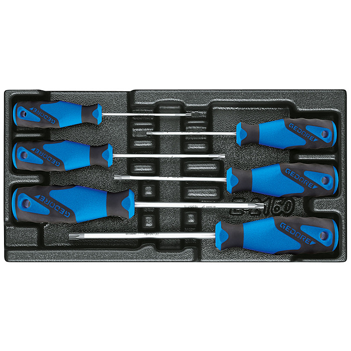 GEDORE Screwdriver set in 1/3 ES module 1616625 (T-82007) 4010886825891 ...