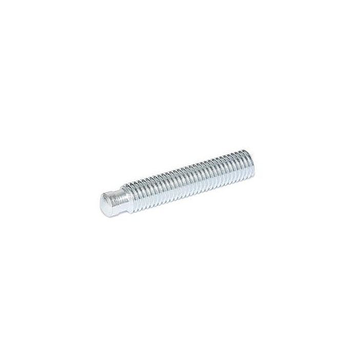 Ganter Grub Screws with Thrust Point, Steel, Zinc Plated 6332-M10-55 ...